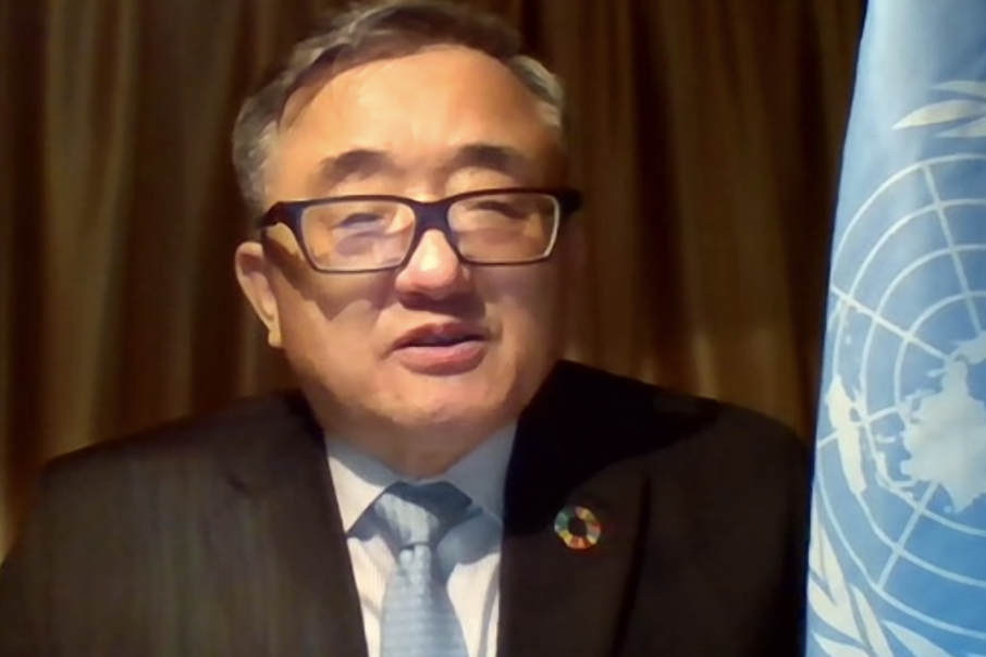 Liu Zhenmin, Under-Secretary-General for Economic and Social Affairs ...