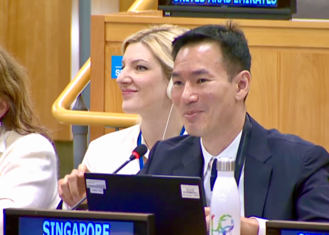 Kenneth Wong, Singapore - BBNJ - 24Apr2025.jpeg | IISD Earth ...