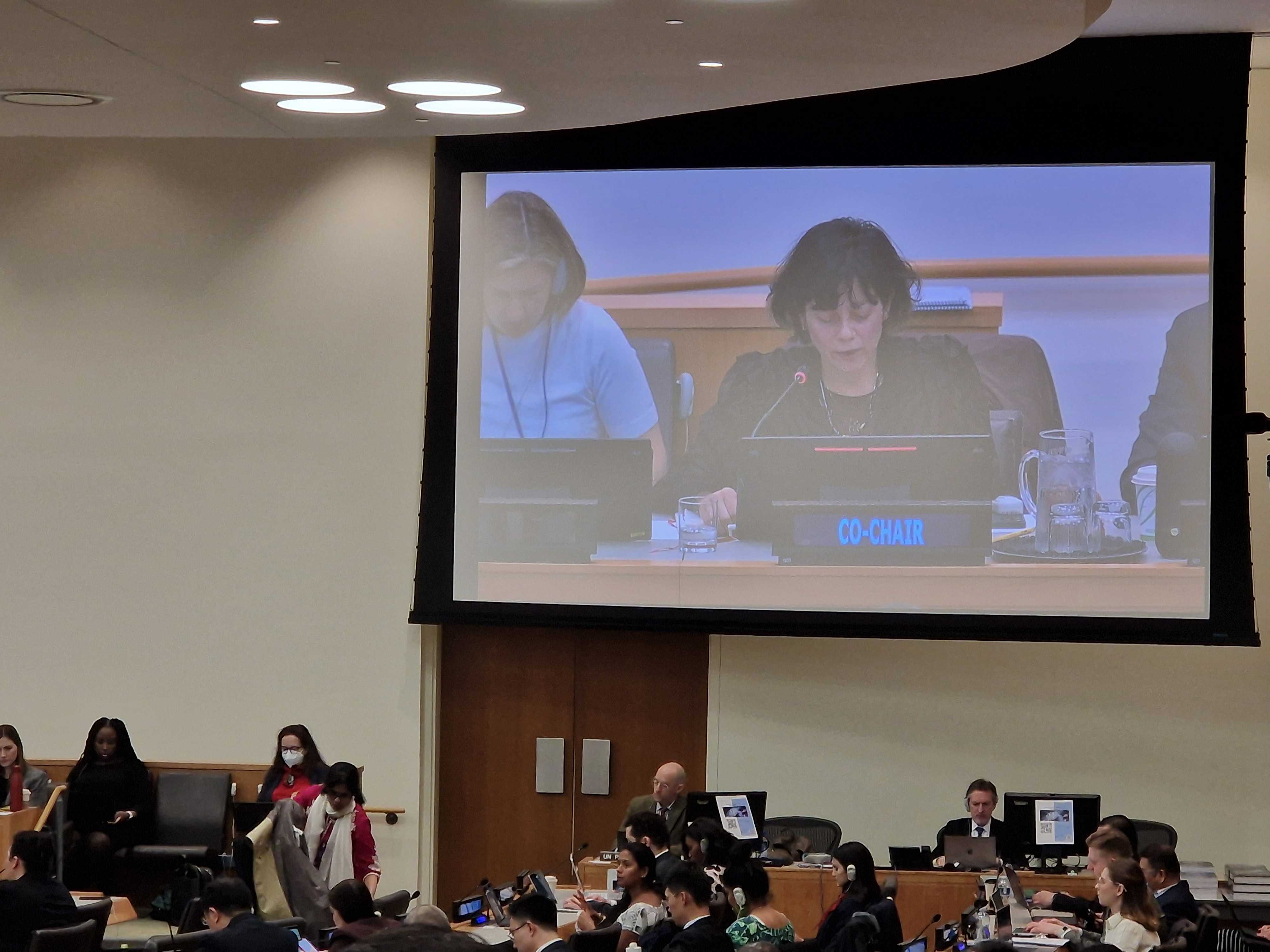 PrepCom Co-Chair Janine v2 Coye-Felson (Belize) - BBNJ - 15Apr2025.jpg ...