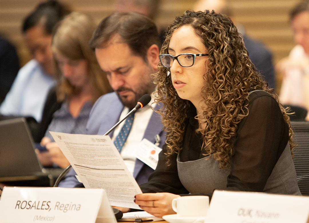 Regina Rosales, Council Member, Mexico - GEF69 - 3Jun2025 | IISD Earth ...