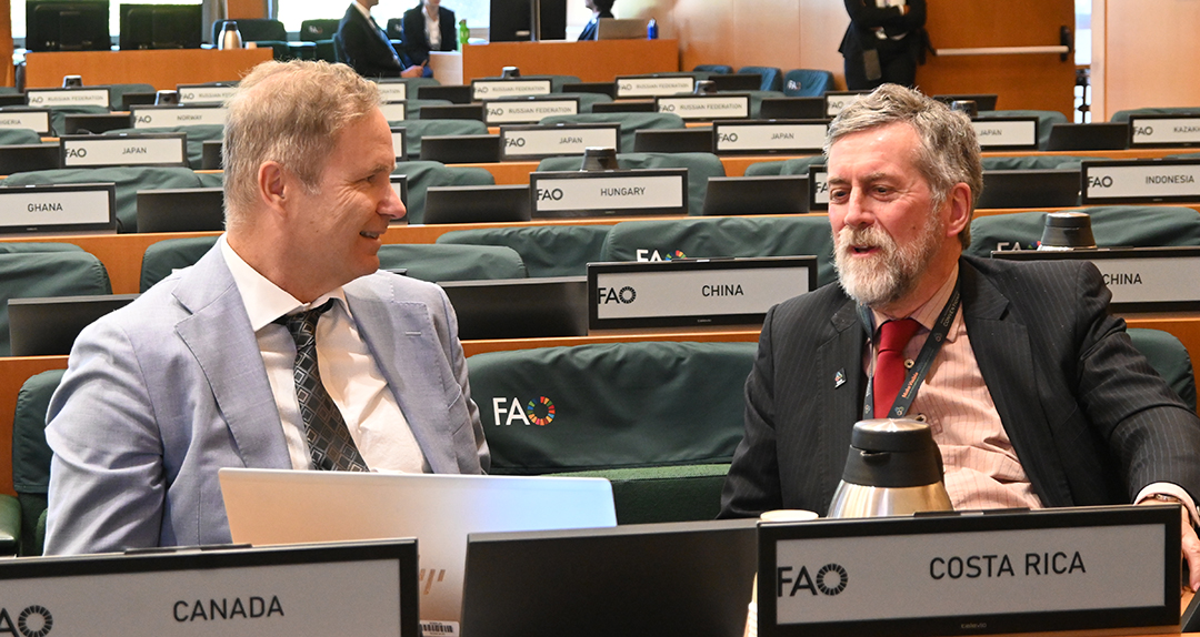 Global Monitoring Plan Global (GMP) Coordination Group Co-Chair Tom ...