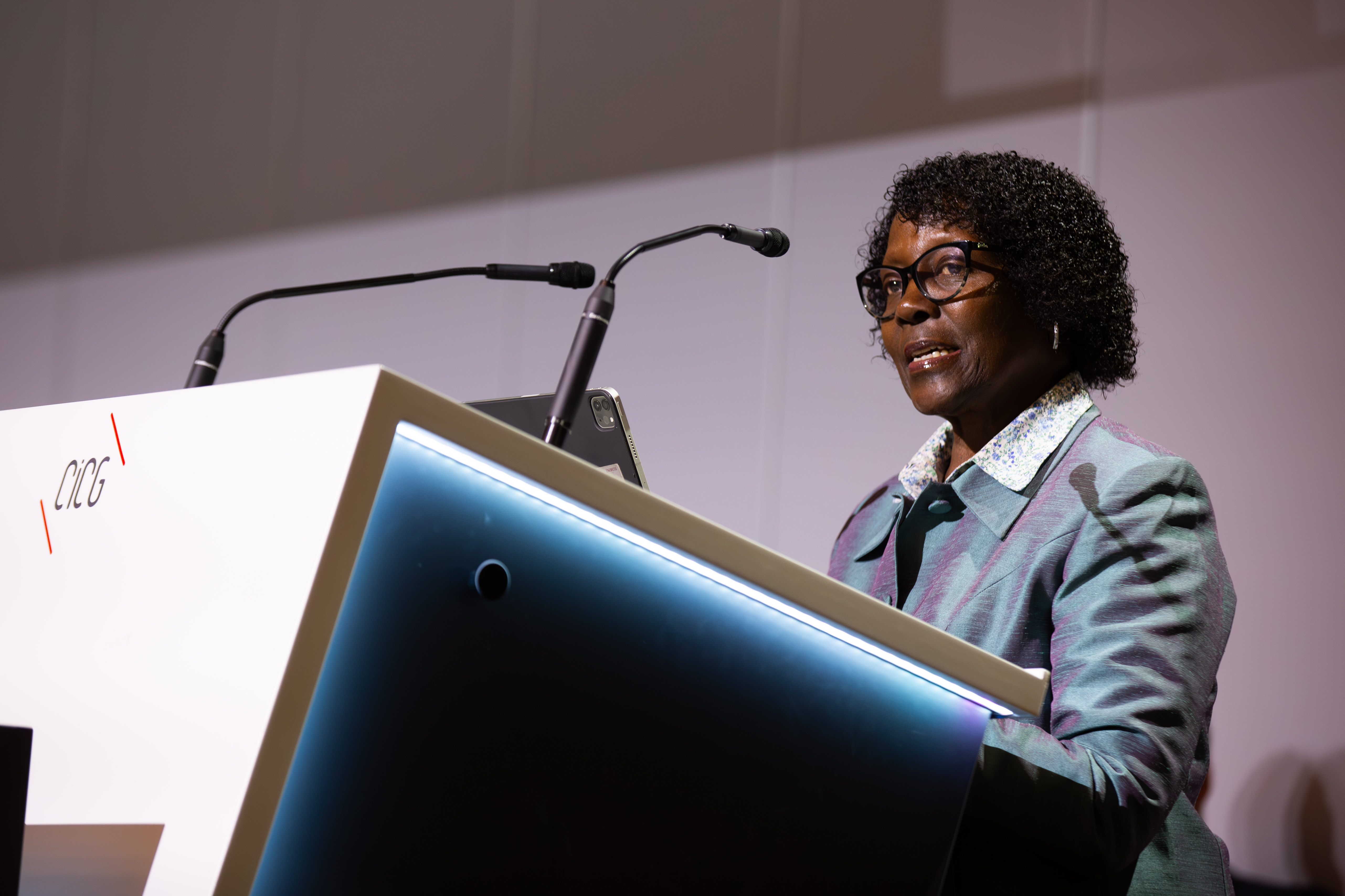 Elizabeth Maruma Mrema, UNEP_MinamatCOP6_03Nov25_photo.jpg | IISD Earth ...