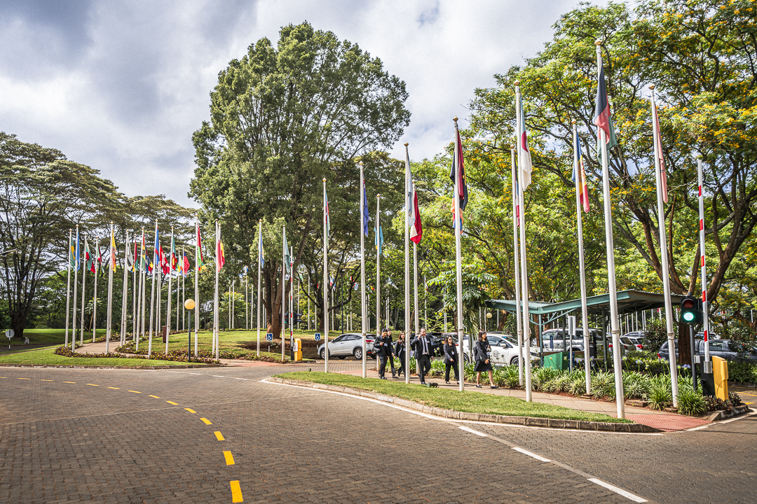 Flag Walk_06Nov_photo.jpg | IISD Earth Negotiations Bulletin