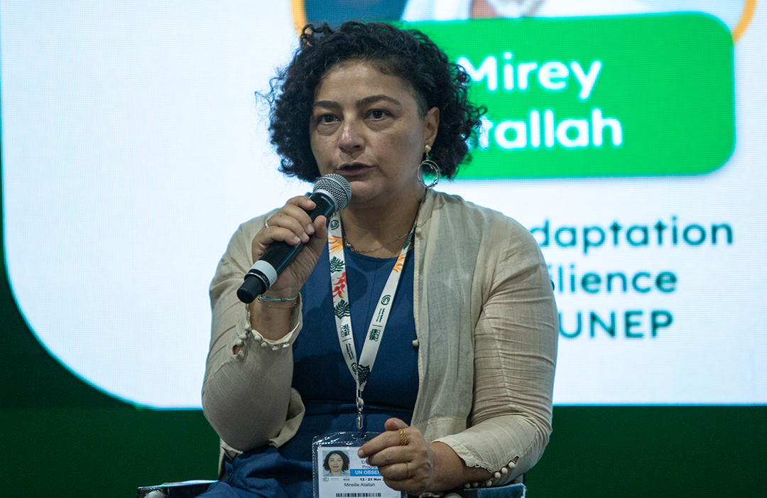 Mirey Atallah, Chief of the Adaptation and Resilience Branch, Climate ...
