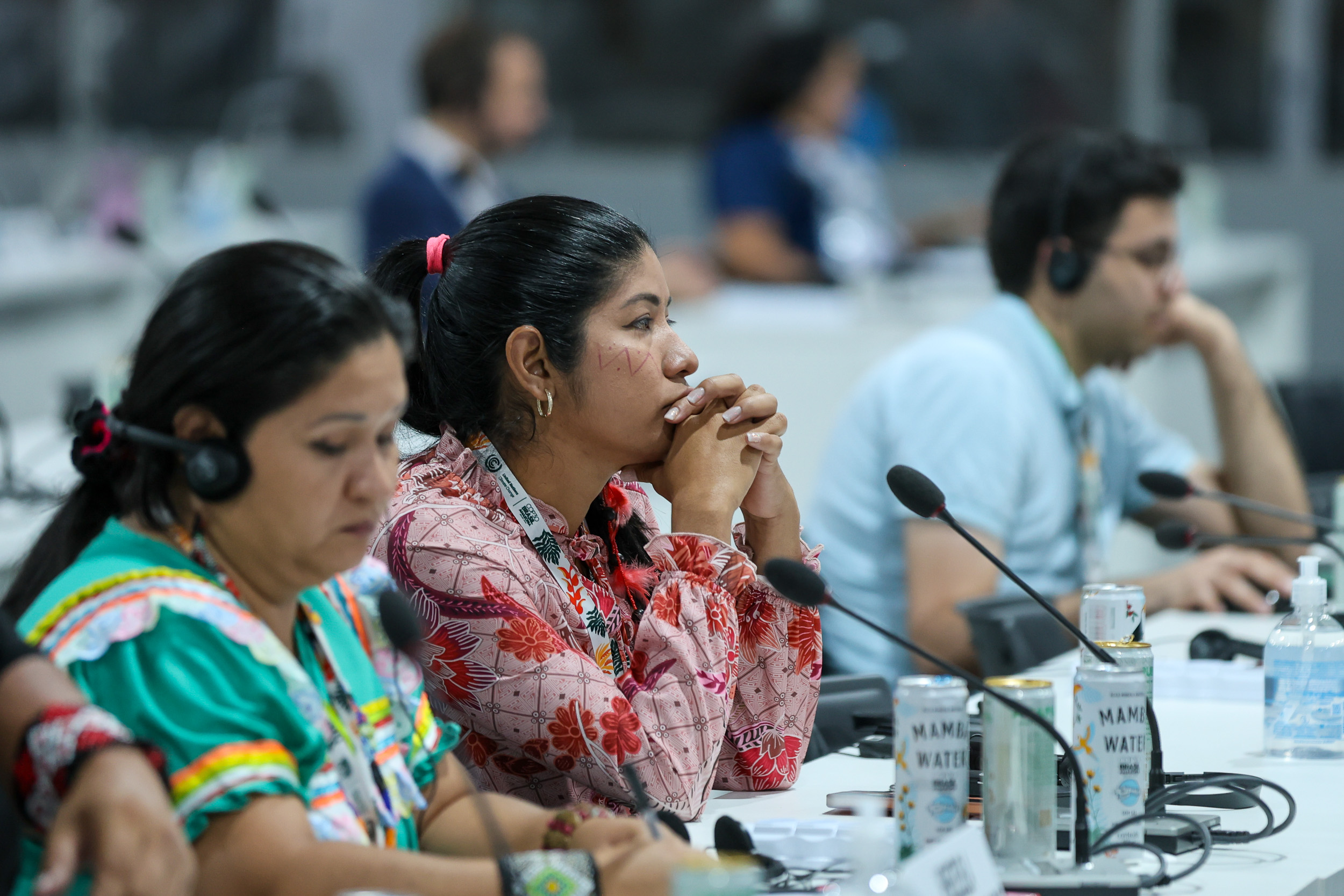 LCIPP 7 - UNFCCC COP 30 - 14Nov 2025 - Photo | IISD Earth Negotiations ...
