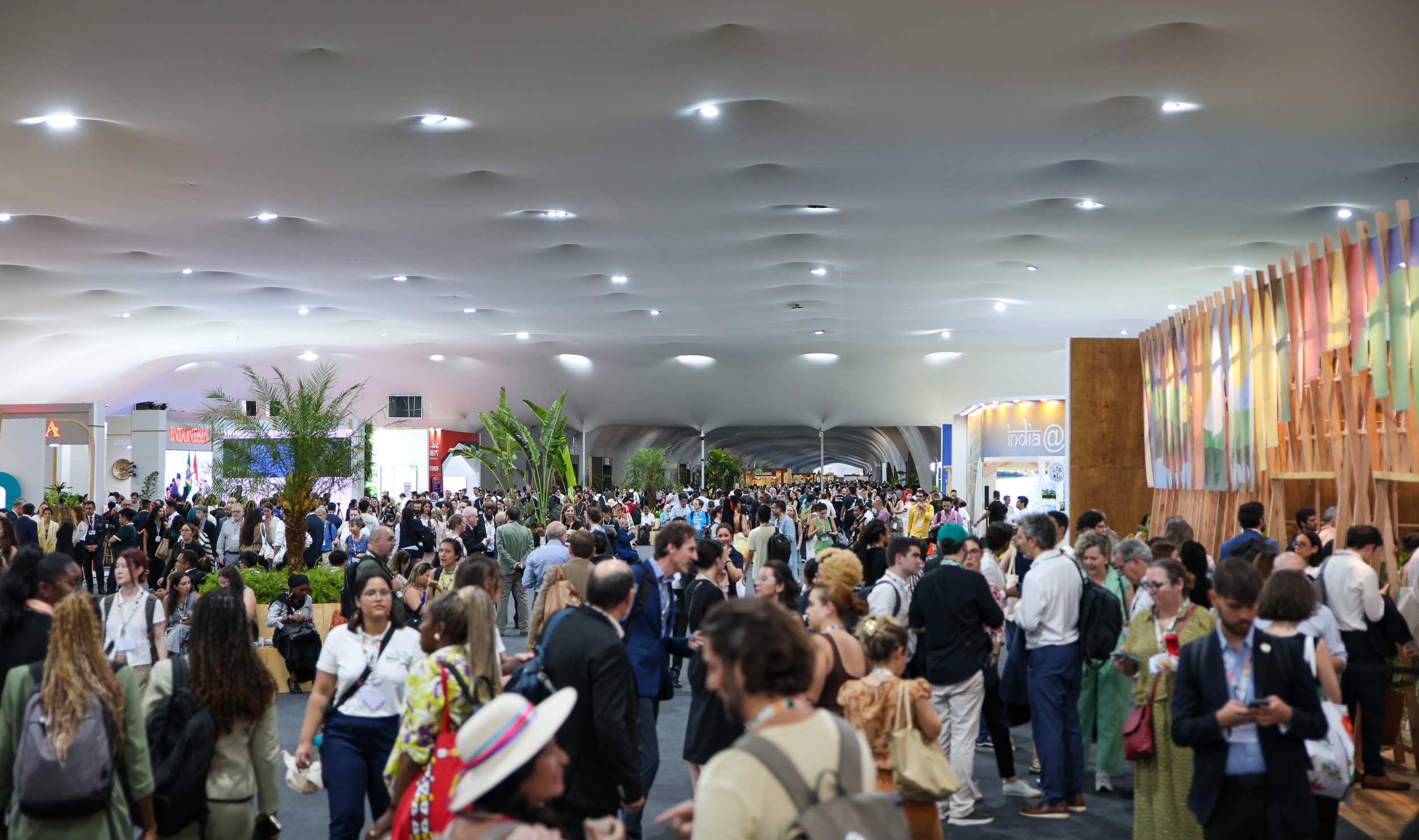 The hallways of COP 30 - UNFCCC COP 30 - 11Nov 2025 - Photo | IISD ...