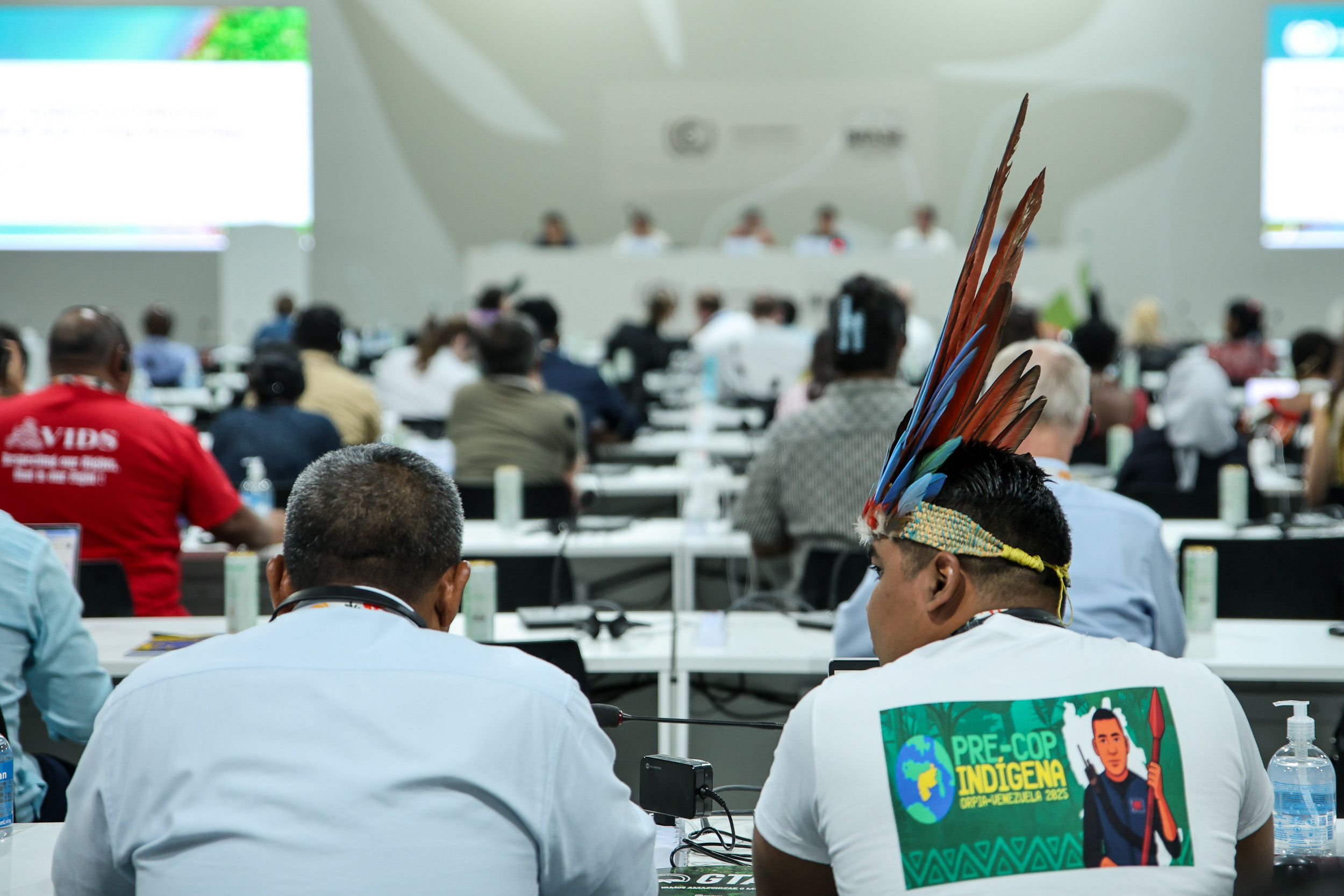 LCIPP - UNFCCC COP 30 - 14Nov 2025 - Photo | IISD Earth Negotiations ...