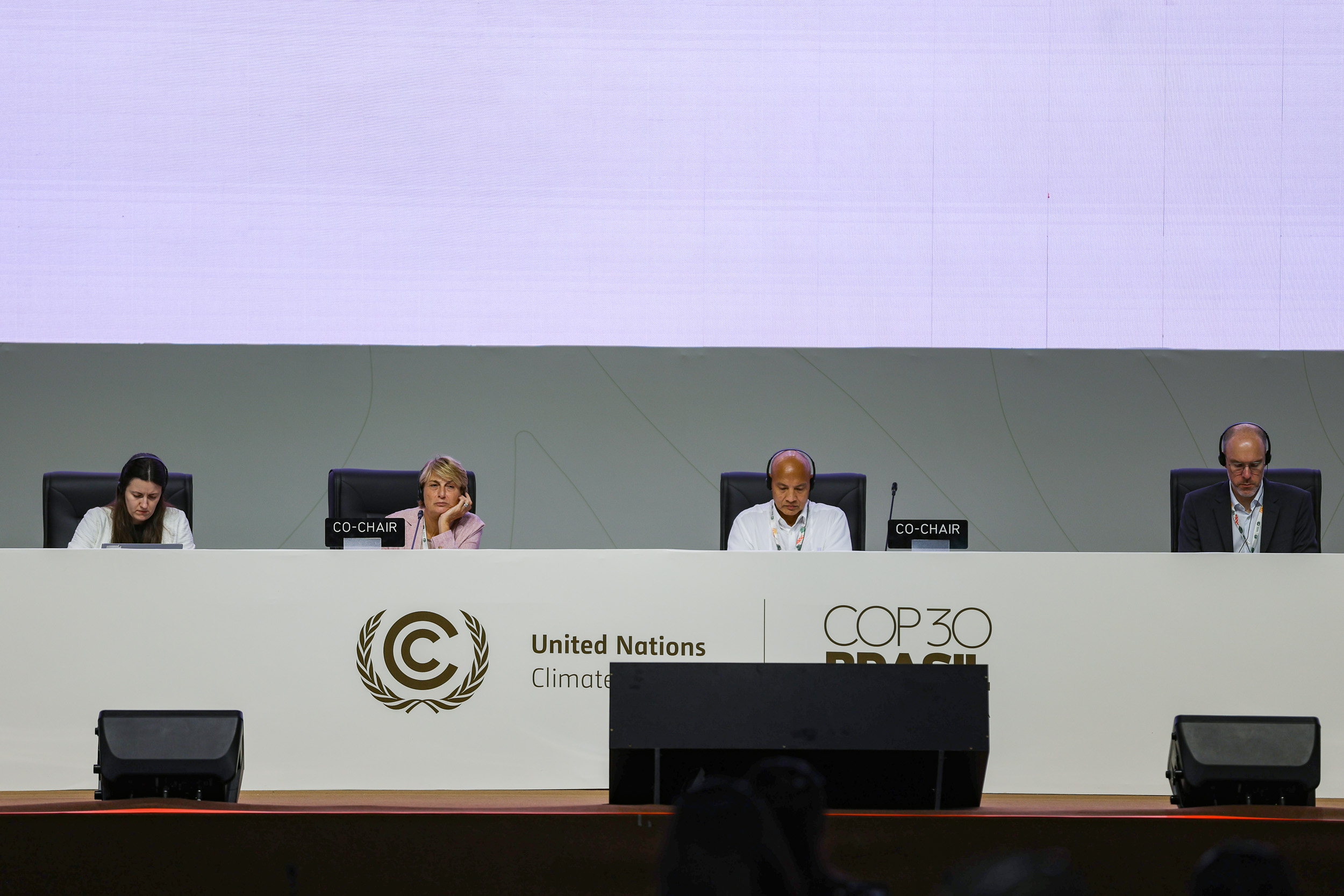 View of the dais during a contact group on the just transition work ...