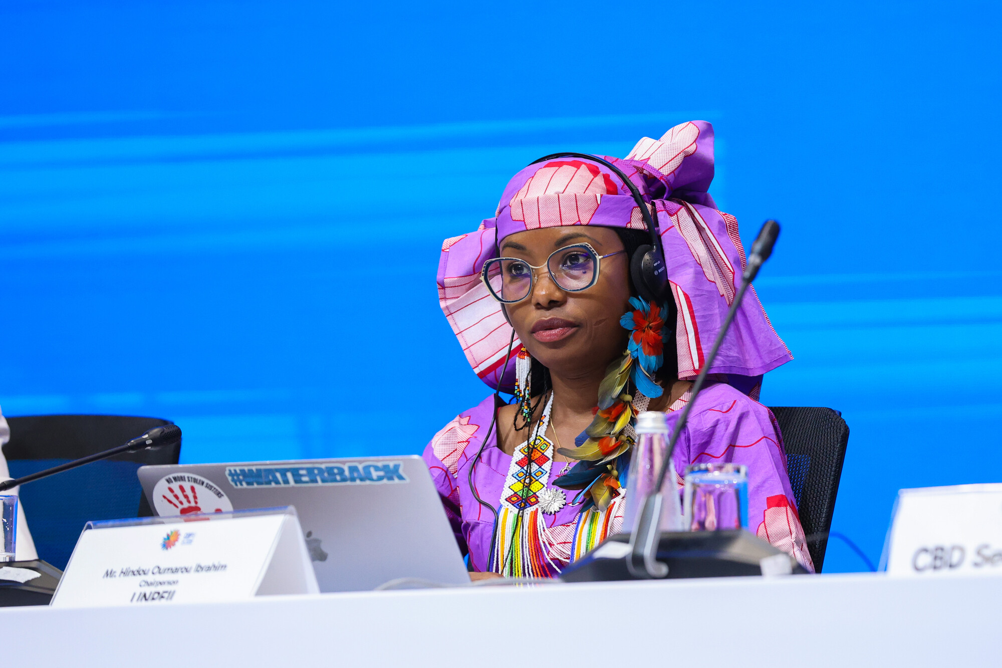 How Indigenous Negotiators Fared in 2024 | IISD Earth Negotiations Bulletin