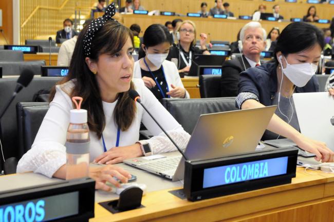 María Juliana Tenorio Quintero, Colombia - BBNJ IGC-5 - 22Aug2022 ...