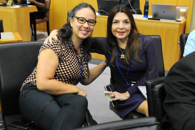 Viviana Tinoco Monge and Gina Guillén Grillo, Costa Rica - BBNJ IGC-5 ...