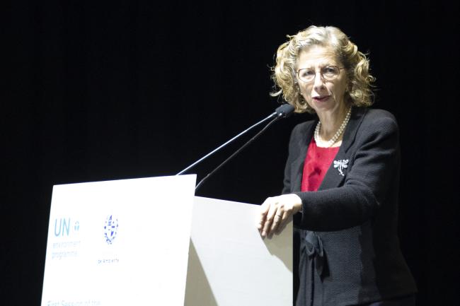 Inger Andersen, the Executive Director of the United Nations ...