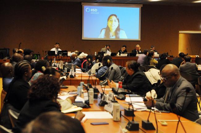 Swasti Raizada, IISD - IGF AGM-18 - 10Nov2022 - Photo | IISD Earth ...