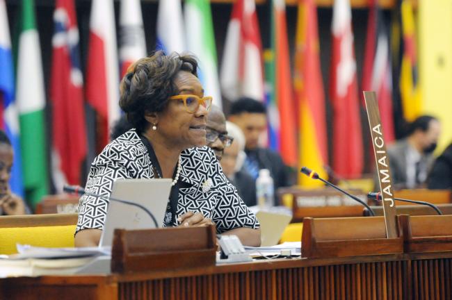 Alison Stone Roofe, Jamaica - ISA Council-28 - 16Mar2023 - Photo | IISD ...