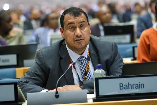 Hasan Ali Mubarak, Bahrain - MOP35 - 23Oct2023- Photo | IISD Earth ...