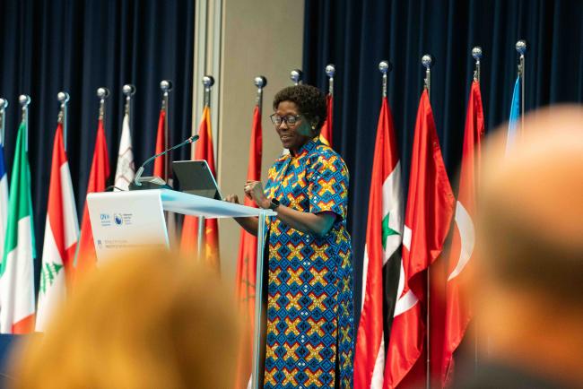 3Elizabeth Maruma Mrema, Deputy Executive Director of UNEP ...