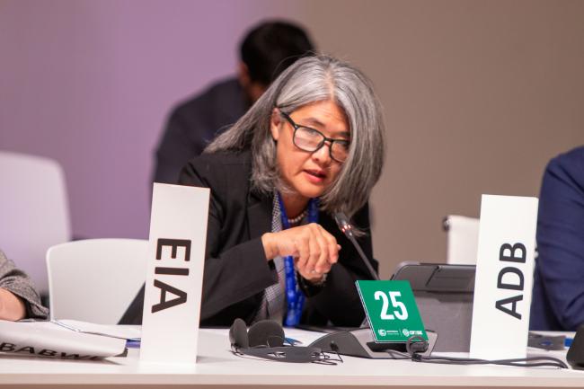 Yoko Watanabe, ADB - CCAC 2023 - 8Dec2023 - photo | IISD Earth ...