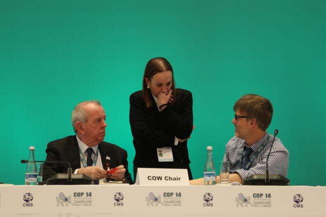 Colin Galbraith, CoW Chair, consults with the CMS Secretariat ...