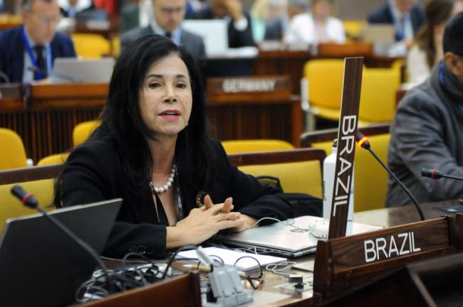 Elza Moreira Marcelino de Castro, Brazil - ISA Council 29th Session ...