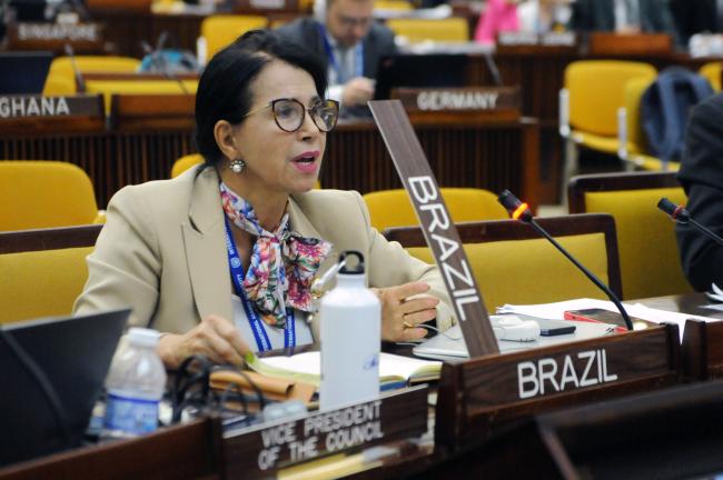 Elza Moreira Marcelino de Castro, Brazil - ISA Council 29th Session ...