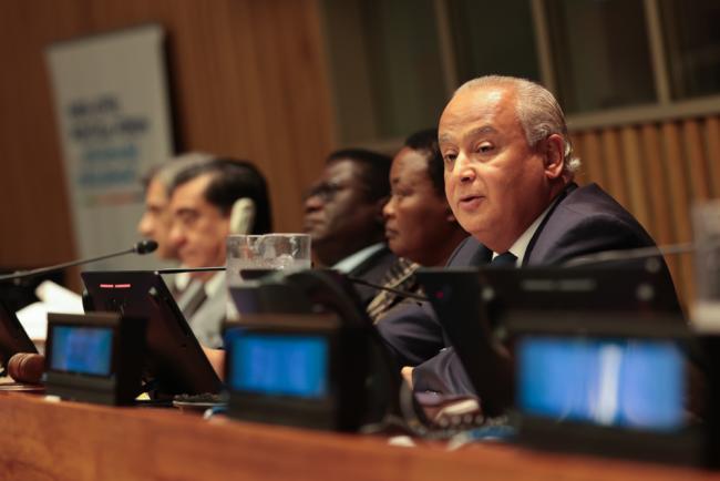 Tarek Ladeb, Vice-President, ECOSOC - HLPF2024 - 15Jul24 - photo | IISD ...