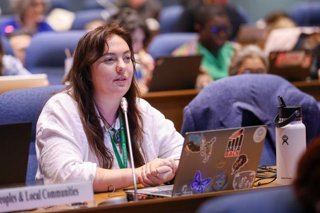 Katie Riddle, International Indigenous Forum on Biodiversity - CBD-DSI2 ...