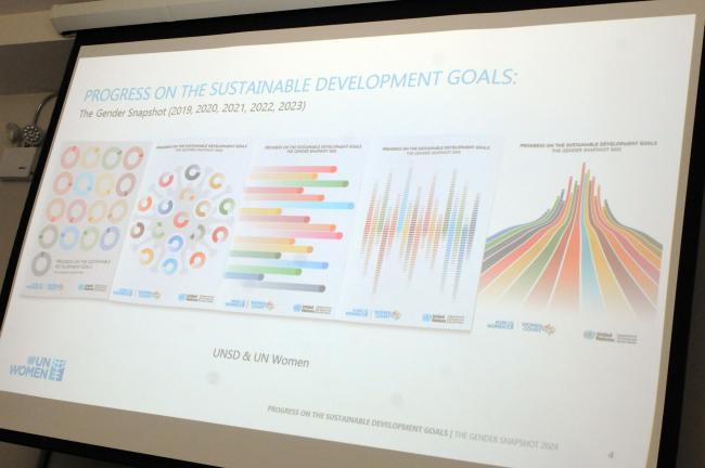 A slide from the presentation by Papa Seck, UN Women - ENERGYNOW SDG7 ...