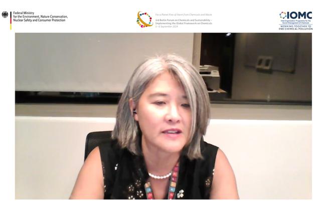 Yoko Watanabe, ADB - 3rd Berlin Forum on Chemicals and Sustainability ...