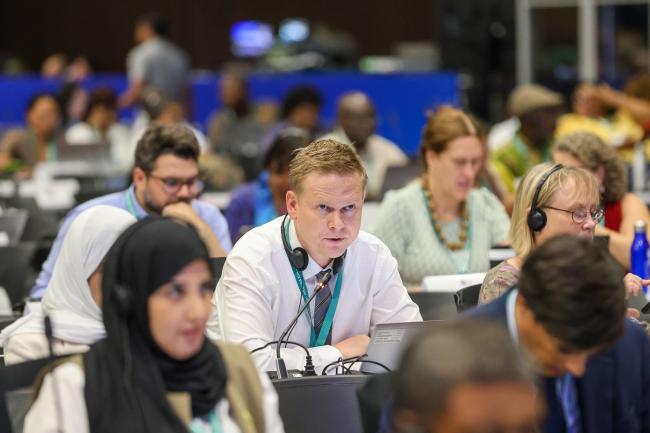 Wagner Niklaus, Switzerland - CBD-COP16 - 25Oct2024 - Photo | IISD ...