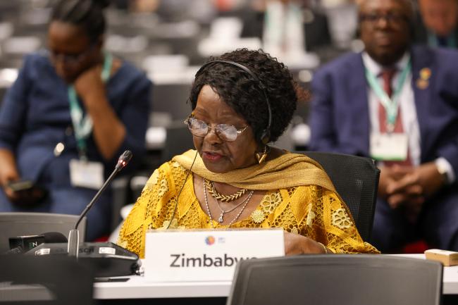 Sithembiso Nyoni, Minister of Environment, Climate and Wildlife ...