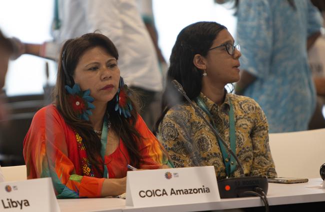 COICA Amazonia - Peace with Nature- 30 Oct 2024 | IISD Earth ...