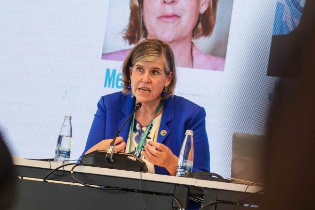 Mieke van Ginneken, Netherlands Water Envoy - Forest and Water -24oct24 ...