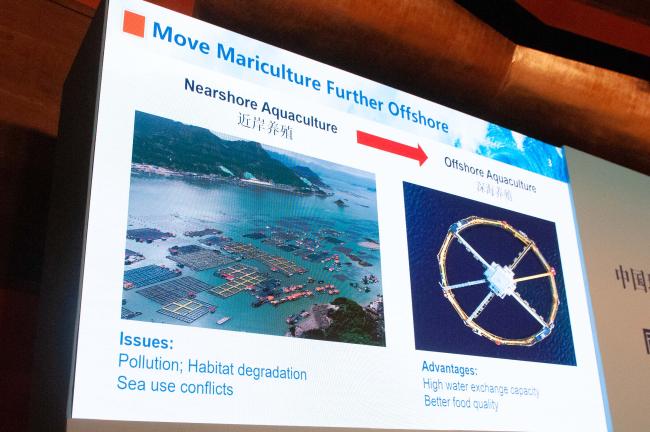 A slide from the presentation by Ling Cao, Professor, Xiamen University ...