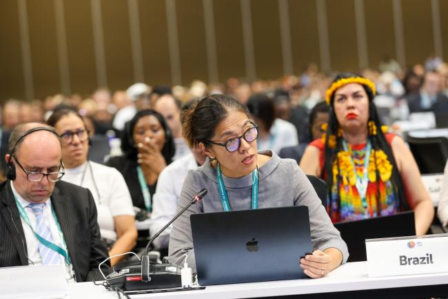 Maria Angélica Ikeda, Brazil - CBD-COP16 - 01Nov2024 - Photo | IISD ...