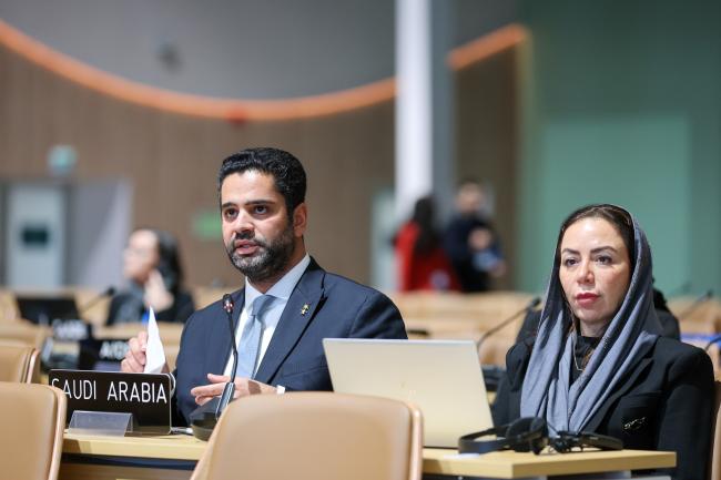 Albara Tawfiq and Malak Al-Nory, Saudi Arabia - UNFCCC-COP29 ...