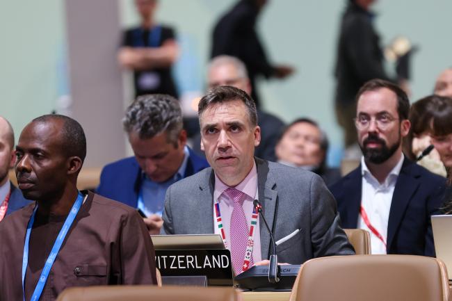 Felix Wertli, Switzerland - UNFCCC-COP29 - 23Nov2024 - Photo | IISD ...