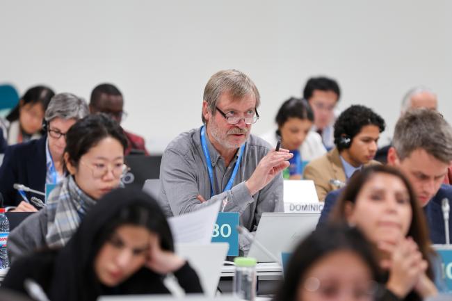 Peer Stiansen, Norway - UNFCCC-COP29 - 19Nov2024 - Photo | IISD Earth ...