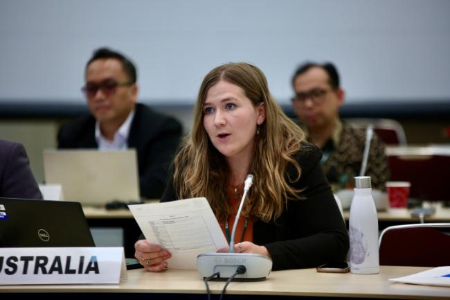 CouncilCassandra - ittc60 - 4dec2024 - photo | IISD Earth Negotiations ...