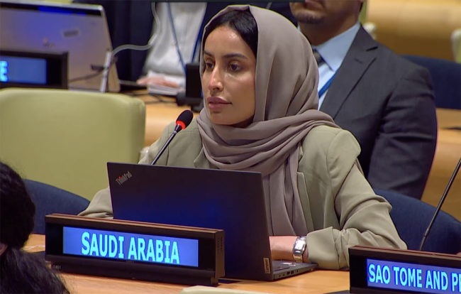 Amal Aldaej, Saudi Arabia - UNFF20 - 8May2025 | IISD Earth Negotiations ...