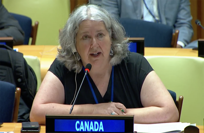 Maureen Whelan, Canada - UNFF20 - 6May2025.png | IISD Earth ...