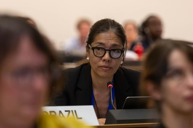 Maria Angelica Ikeda, Brazil - INC5.2 - 15Aug25 - photo | IISD Earth ...