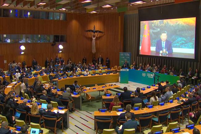 Climate Summit 2025 | IISD Earth Negotiations Bulletin