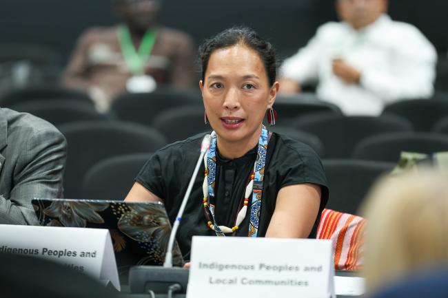 Jennifer Tauli Corpuz, Indigenous Peoples and local communities 2 - CBD ...