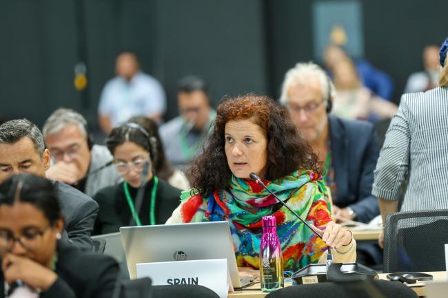 Noelia Vallejo Pedregal, Spain - CBD SBSTTA27 - 23Oct2025 - Photo ...