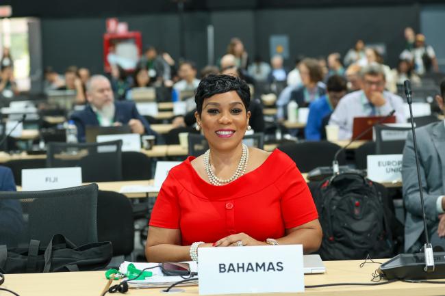 Samantha Miller-Cartwright, The Bahamas - CBD SBSTTA27 - 24Oct2025 ...