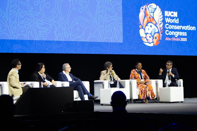 Dais -The Balancing Act- IUCN-World Conservation Congress 2025 ...