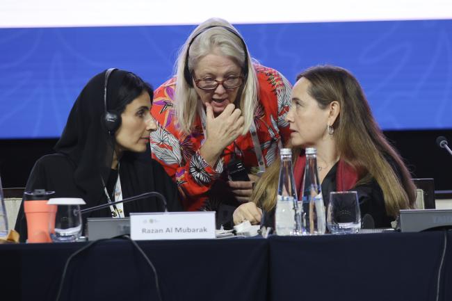 Consultations dais - IUCN World Congress 2025 - 15Oct25 - Photo | IISD ...