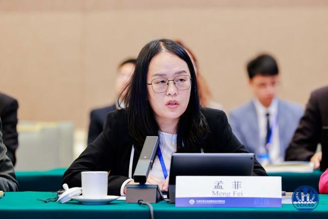 Mei Fei, China Program Senior Director, Energy Innovation_cciced2025 ...