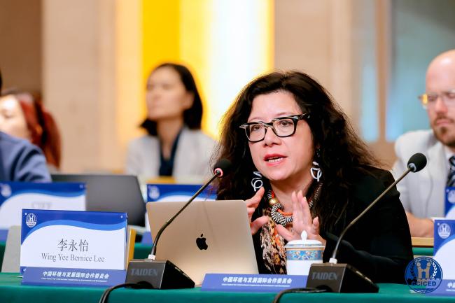 Wing Yee Bernice Lee_cciced2025_15Okt25 | IISD Earth Negotiations Bulletin