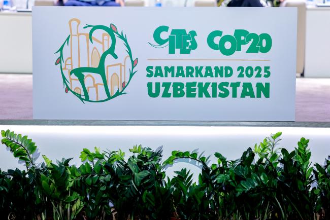 CITES CoP20 banner - 23Nov2025 - Photo | IISD Earth Negotiations Bulletin